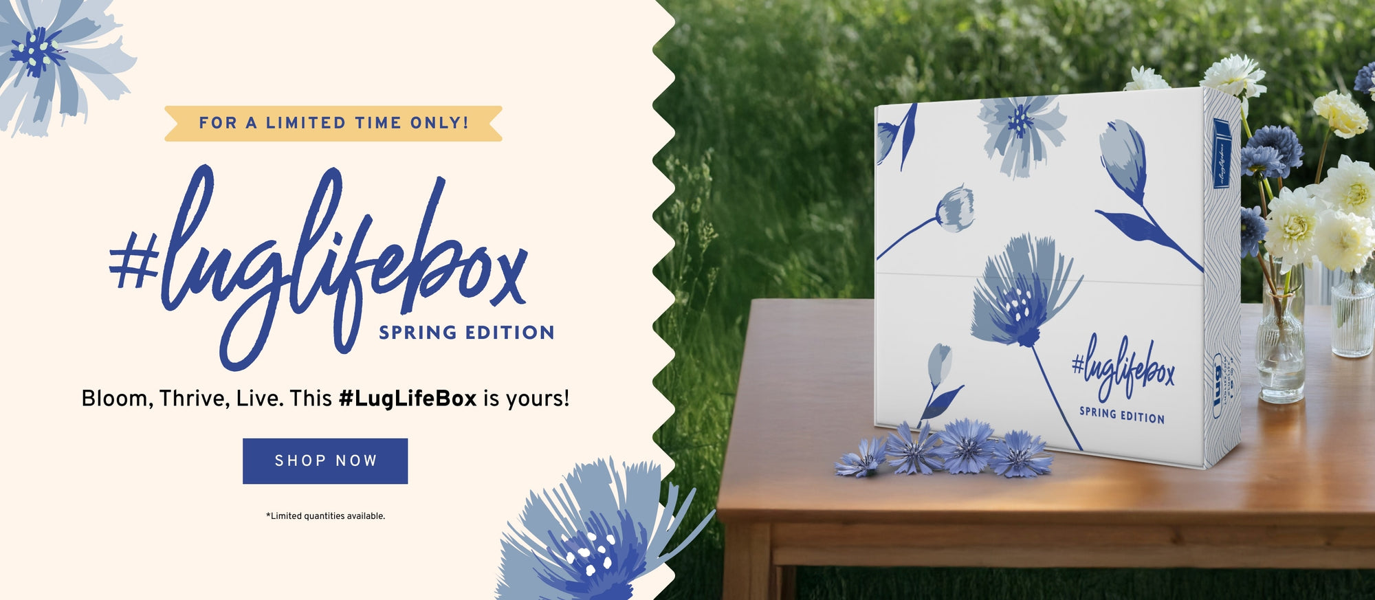 Luglife.ca – Opening Soon