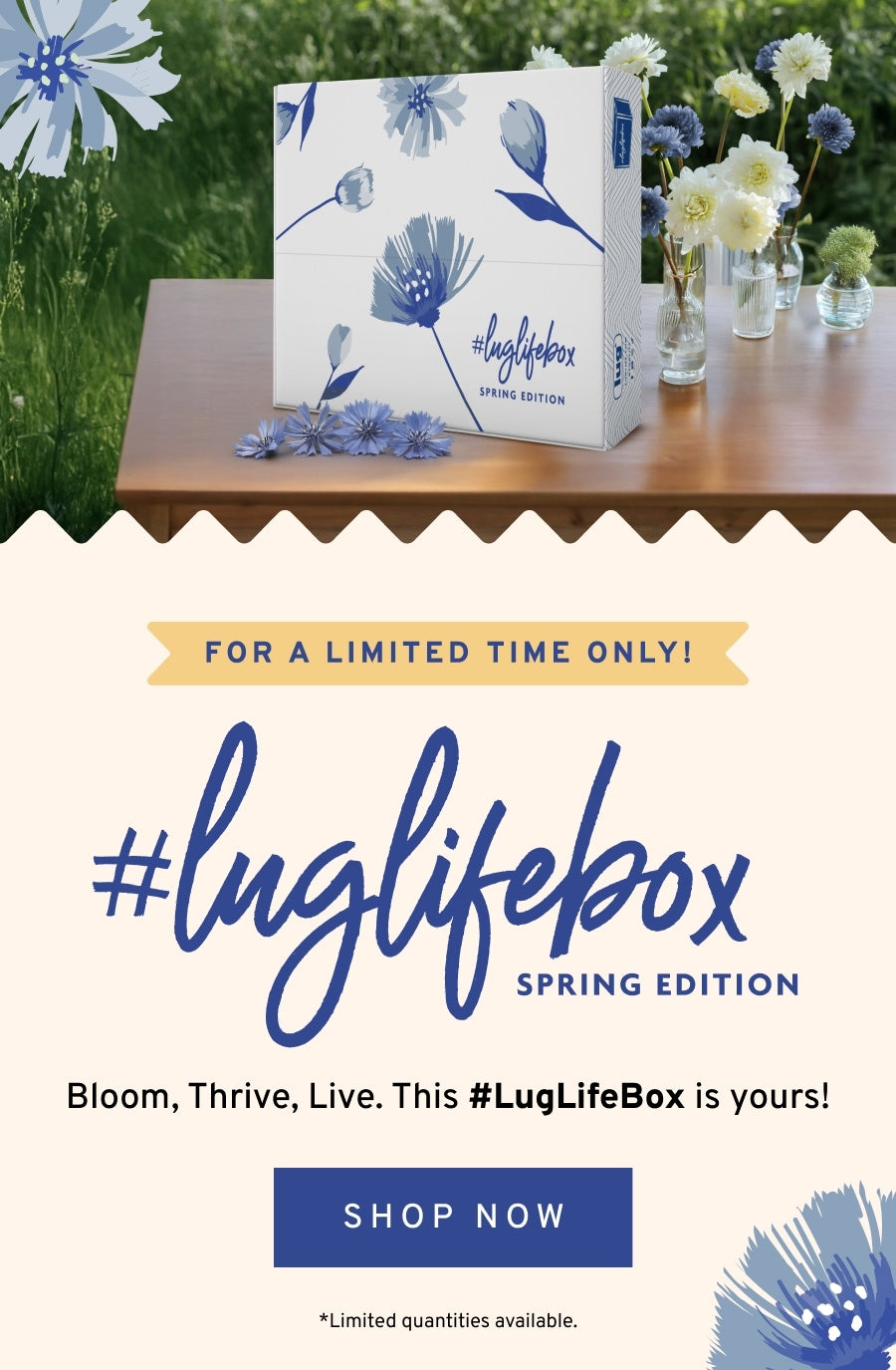 Luglife.ca – Opening Soon